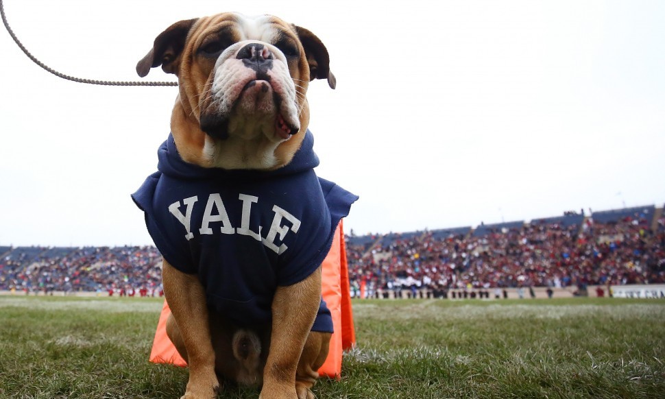 The Yale Coach That Took Bribes Allegedly Had Players Write His Papers