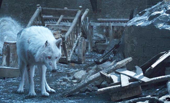 Jon Snow's Treatment Of Ghost Has 'Game Of Thrones' Fans Steamed