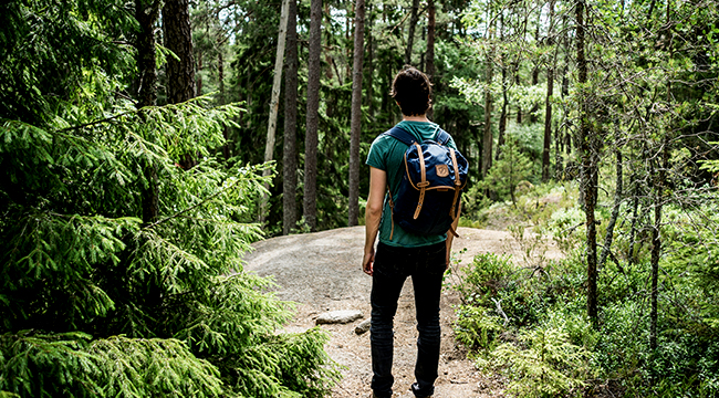 The Appalachian Trail Is A True Adventure Out Of The Big City