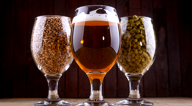 How To Start A Brewery With Advice From Brewers