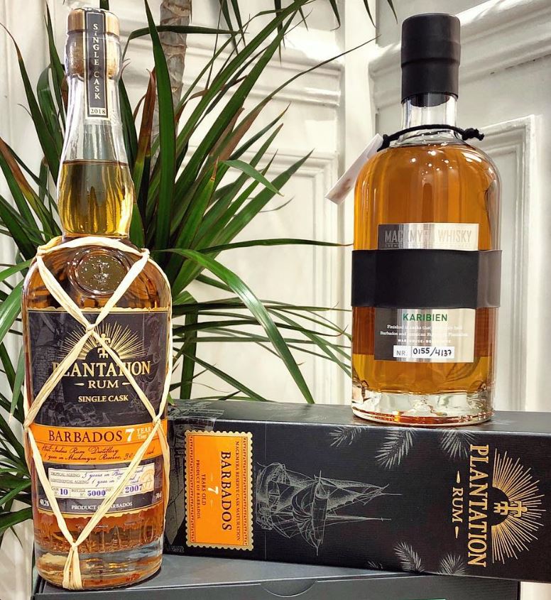 Best Bottles Of Rum For A Tiki Cocktail Party