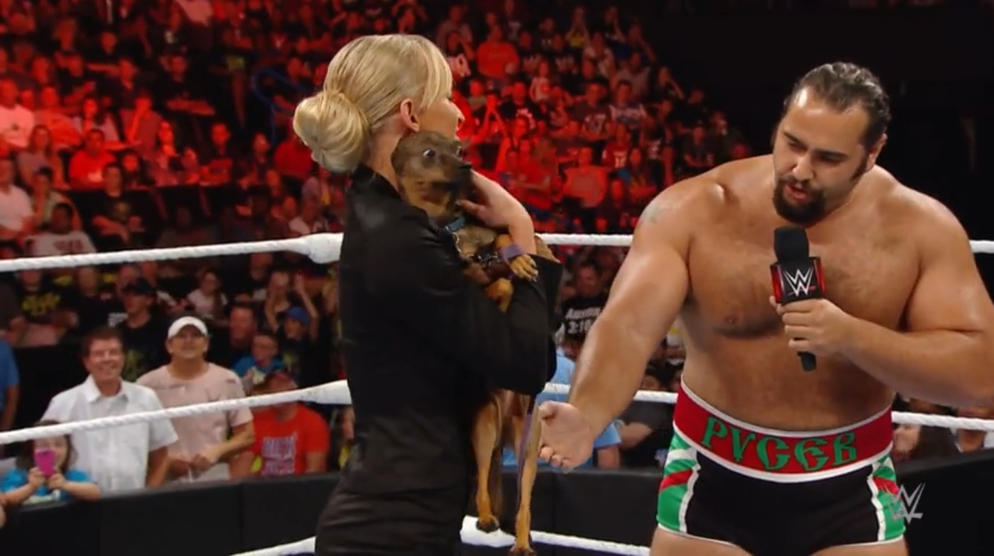 8 Great: Dogs In Pro Wrestling History