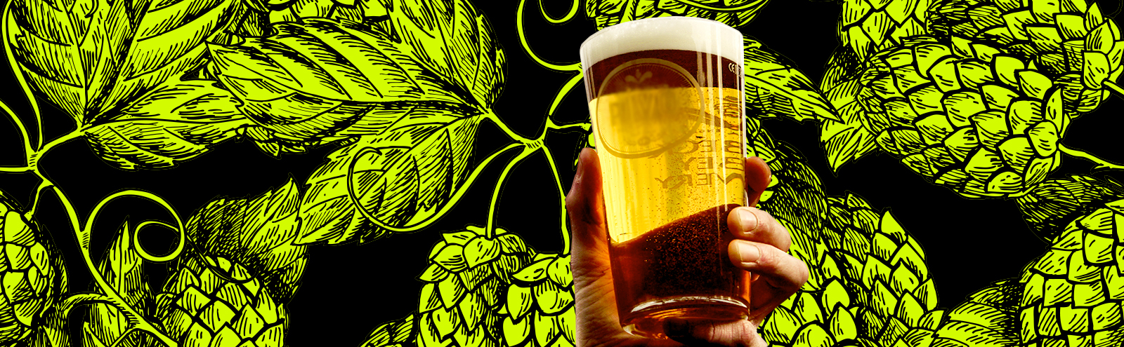 Best Lagers In America Right Now