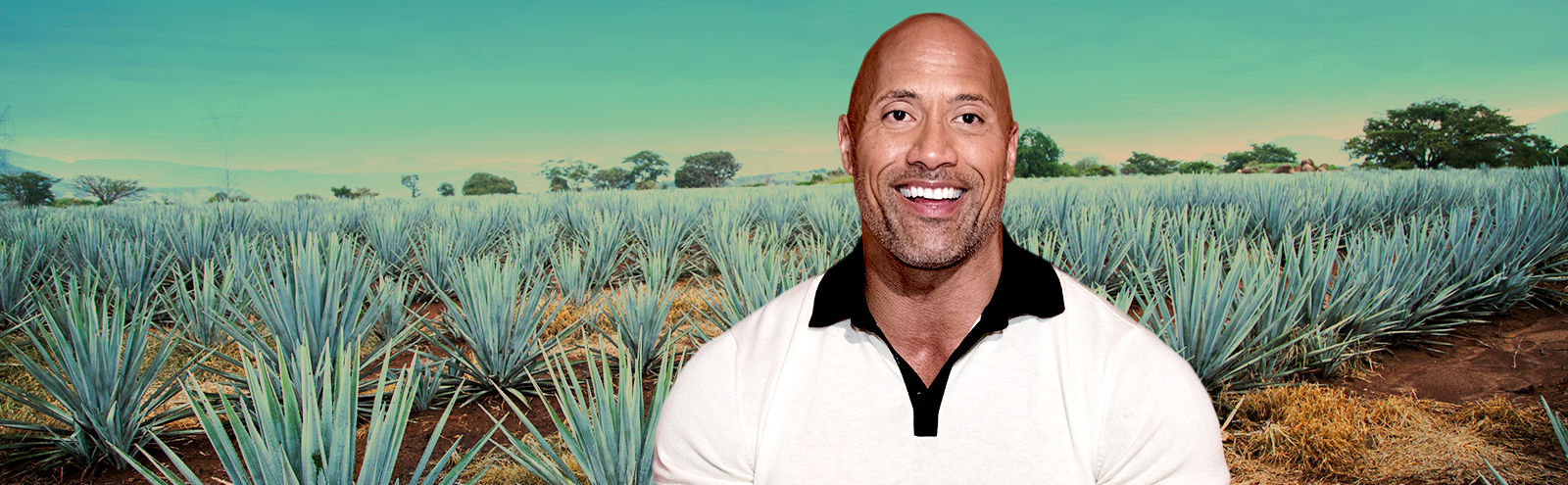 The Rock's New Tequila Is Called Teremana