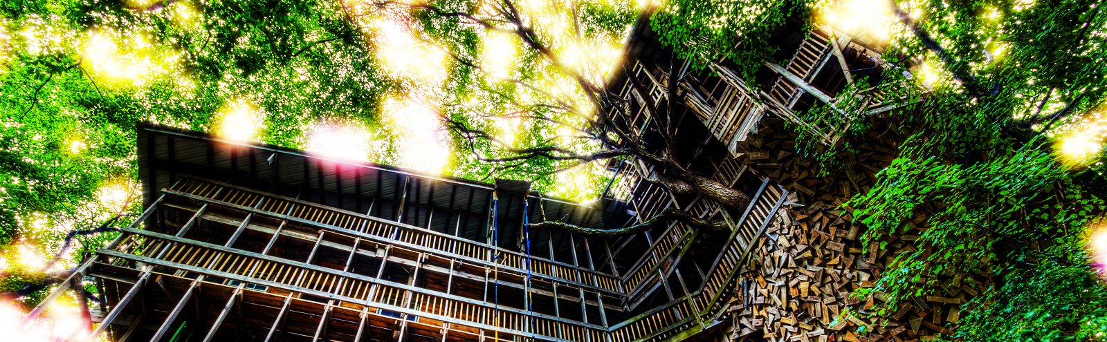 The World's Largest Tree House Has Just Burned Down