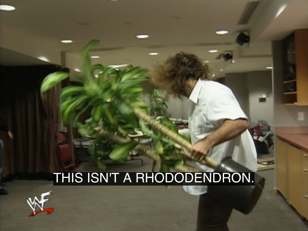 The Best and Worst of WWF Rock Bottom 1998