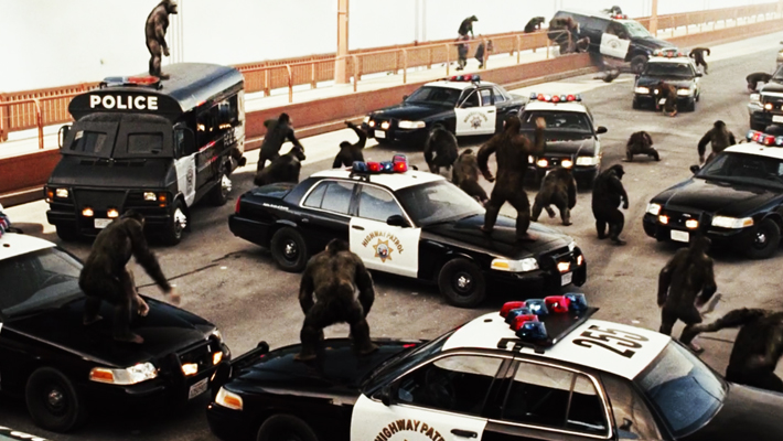 Monkey Gangs Start Fighting After Coronavirus Takes Away Their Food