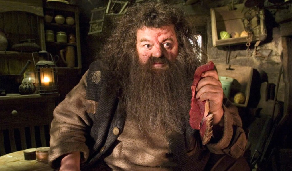 Hagrid Actor Defends J.K. Rowling's Offensive Anti-Trans Comments
