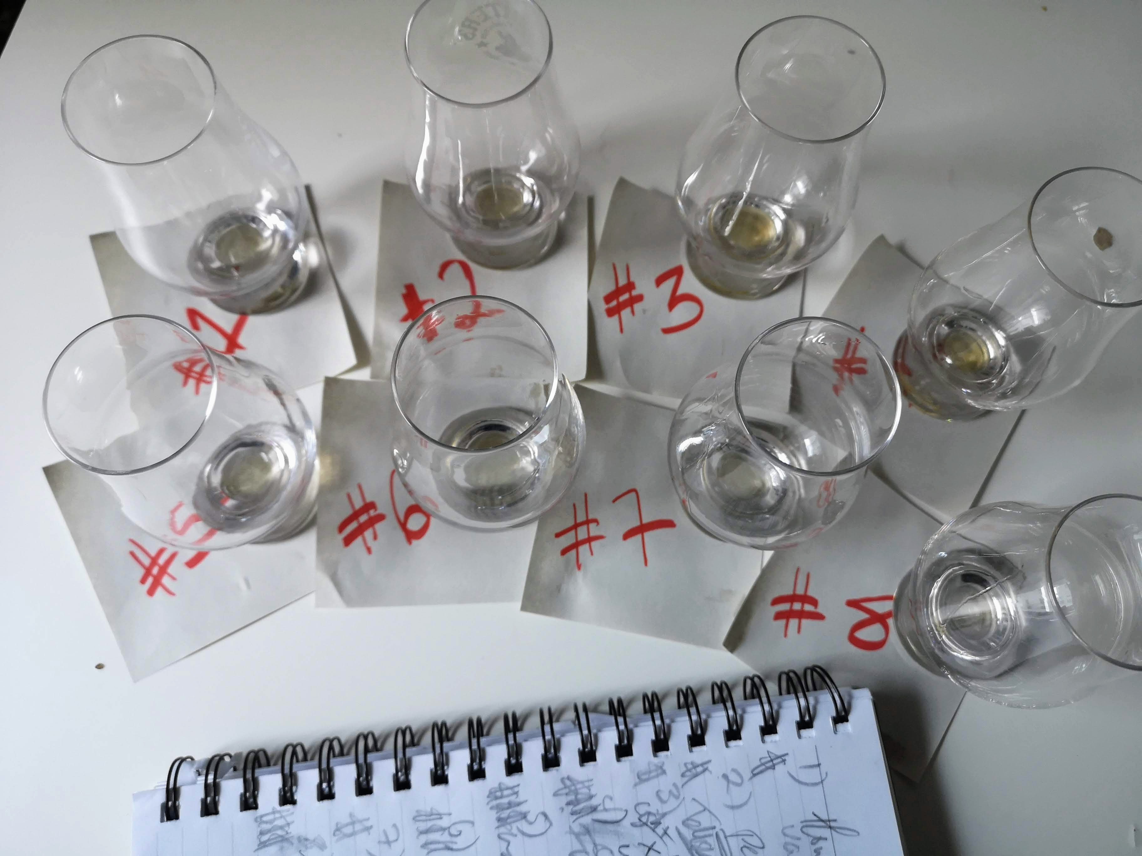 Cheap Scotch vs. Expensive Scotch Taste Test