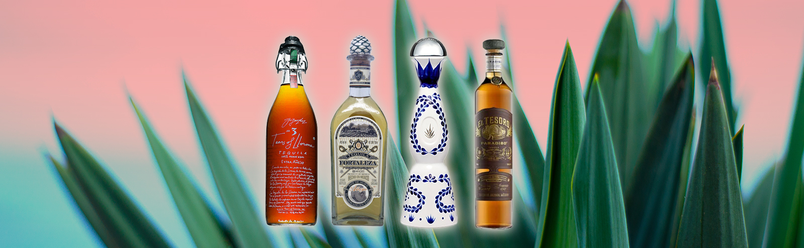 Eight Expensive Tequilas That Are Truly Worth The Price Tag