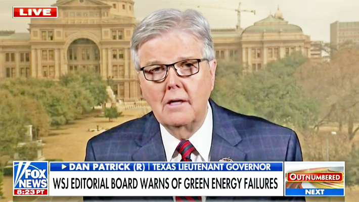 Texas Lt. Gov Dan Patrick: Texans, 'Read Fine Print' On Electric Bills