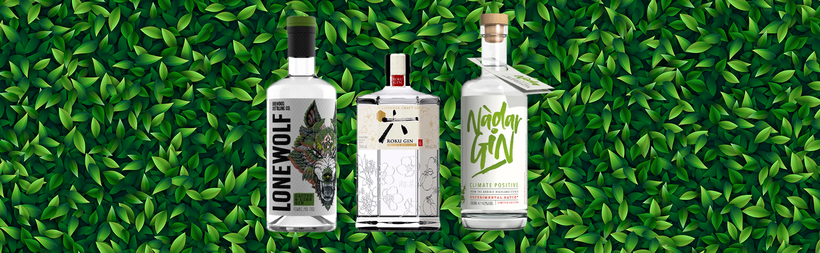 We’re Living In The Gin Boom — Here Are The 11 Best Newish Brands