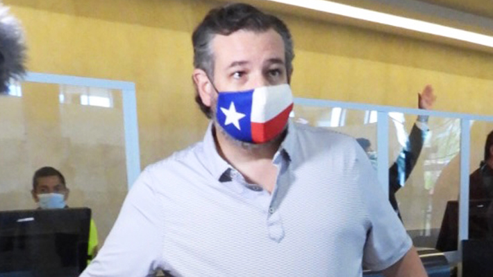 Ted Cruz's Mask-On-An-Airplane Shenanigans Come Back To Bite Him