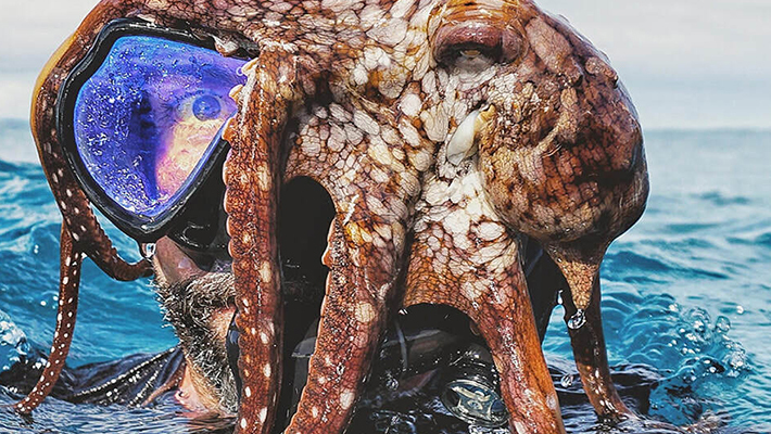 Whalebone's 2021 Photo Contest Winners Are Stunning And Inspirational