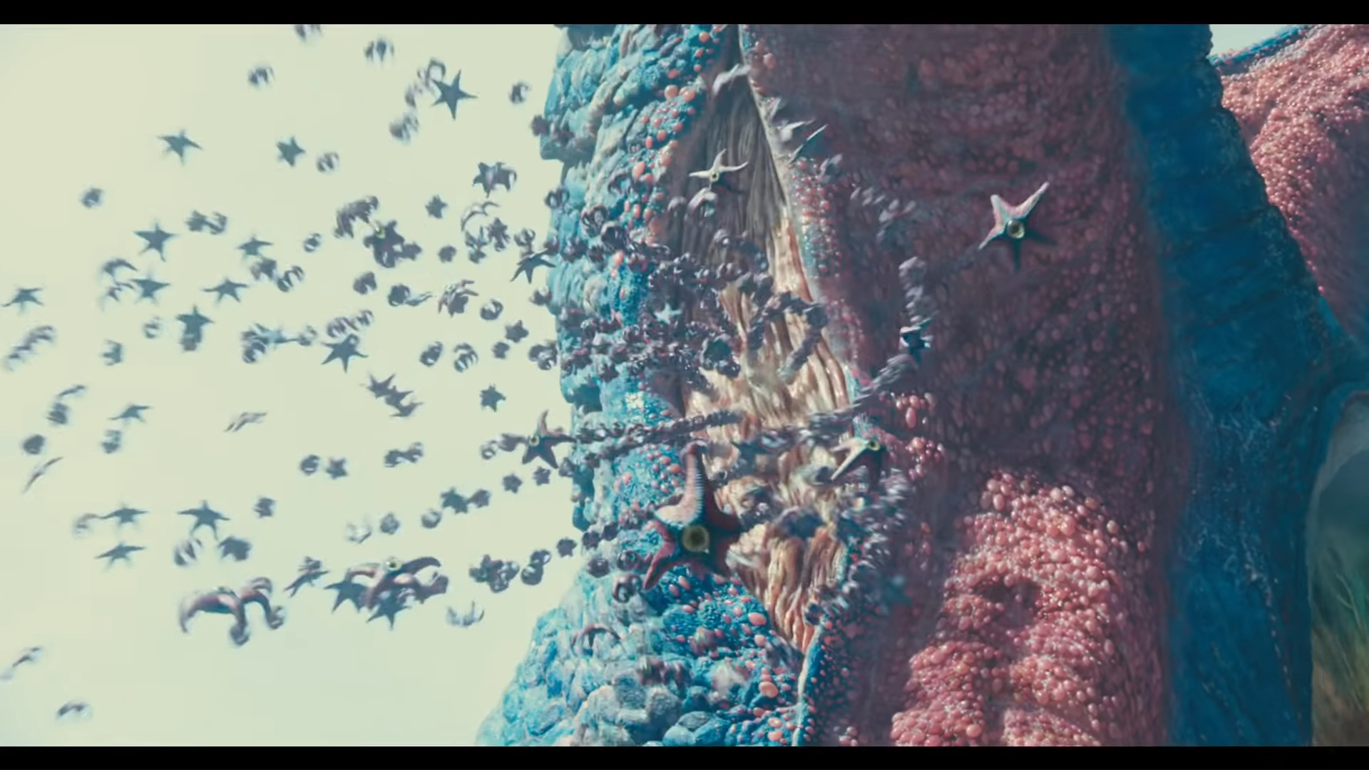 ‘The Suicide Squad’: What To Know About Project Starfish