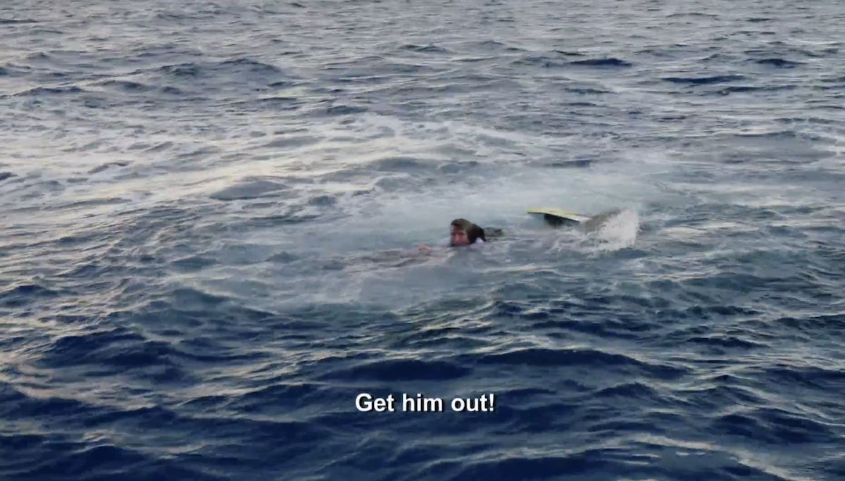 Yup, Someone Got Bitten By A Shark On The 'Jackass' Shark Week Special