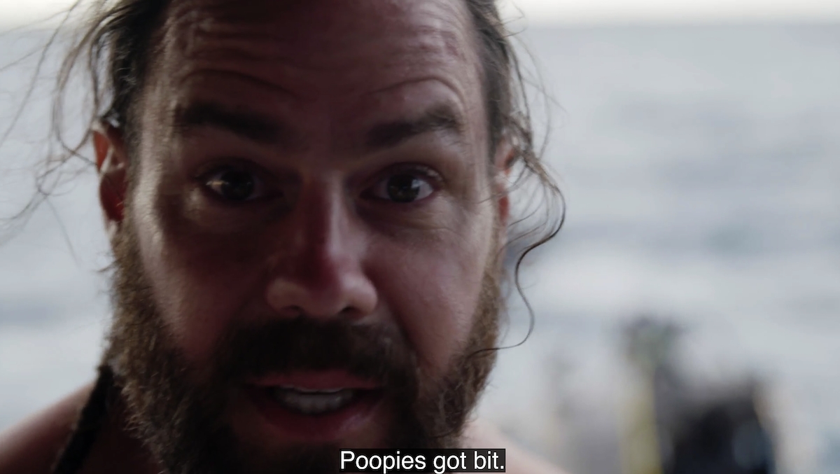 Yup, Someone Got Bitten By A Shark On The 'Jackass' Shark Week Special