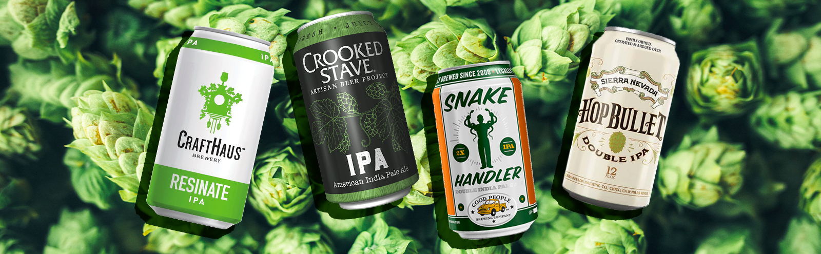 11 Best IPAs For Fans Of Aggressively Bitter Hops