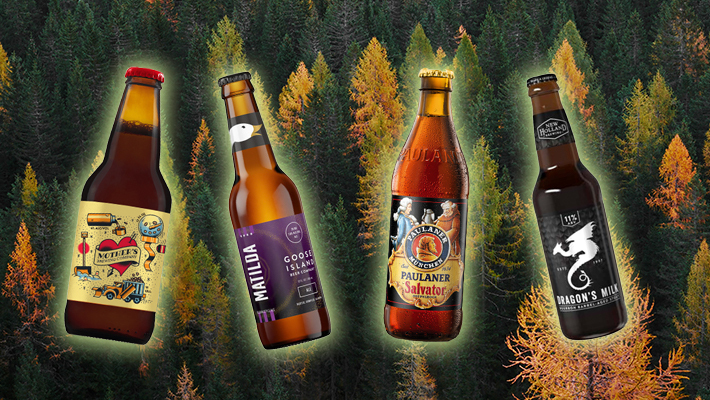 11 Beers That Taste Like Fall In A Bottle, According To Bartenders