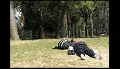 The Greatest 'Jackass' Stunts Of All Time, Ranked