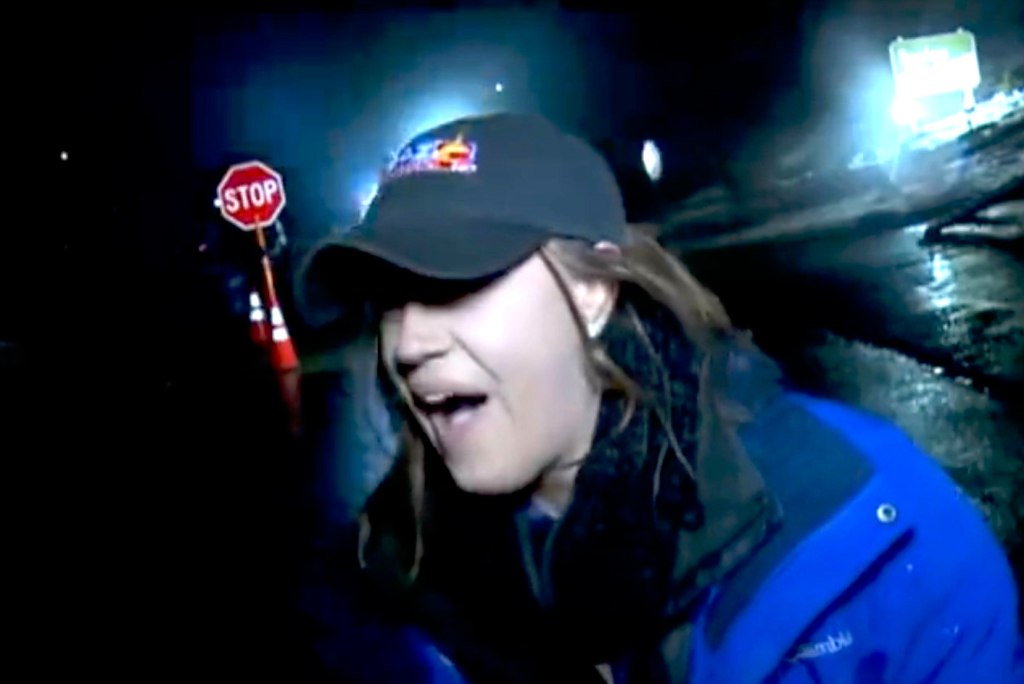 Reporter Got Hit By Car On Live TV But Finished Her Report
