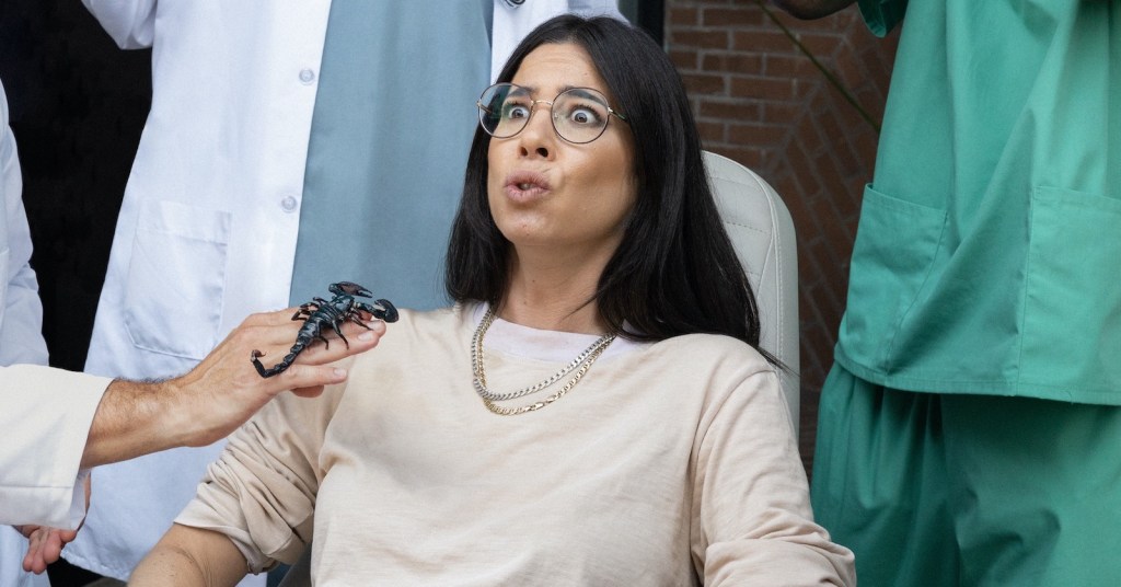 Rchel Wolfson Interview: On Being Cast In 'Jackass Forever'