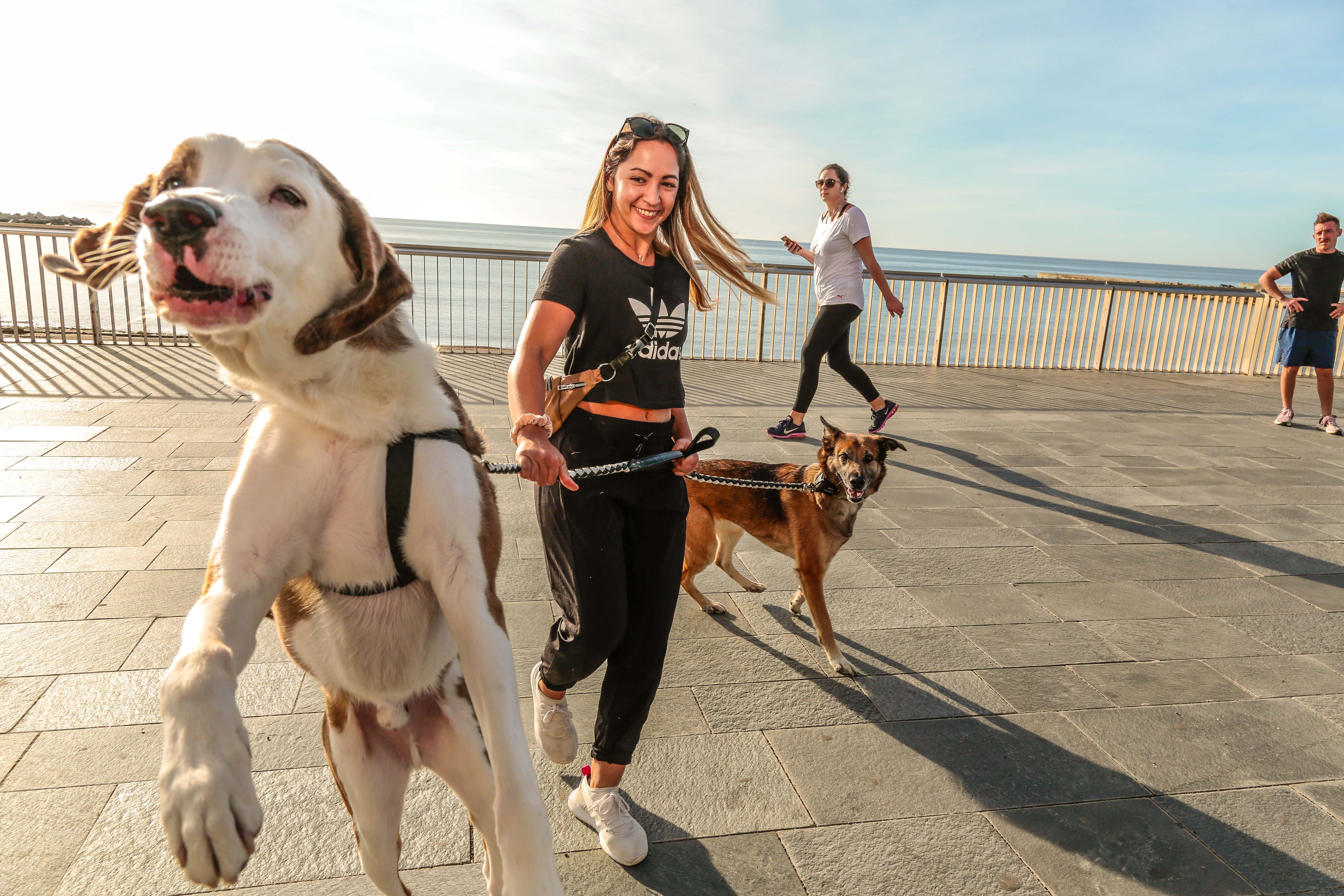 Chewy Customers Pile On With Extraordinary Service Stories