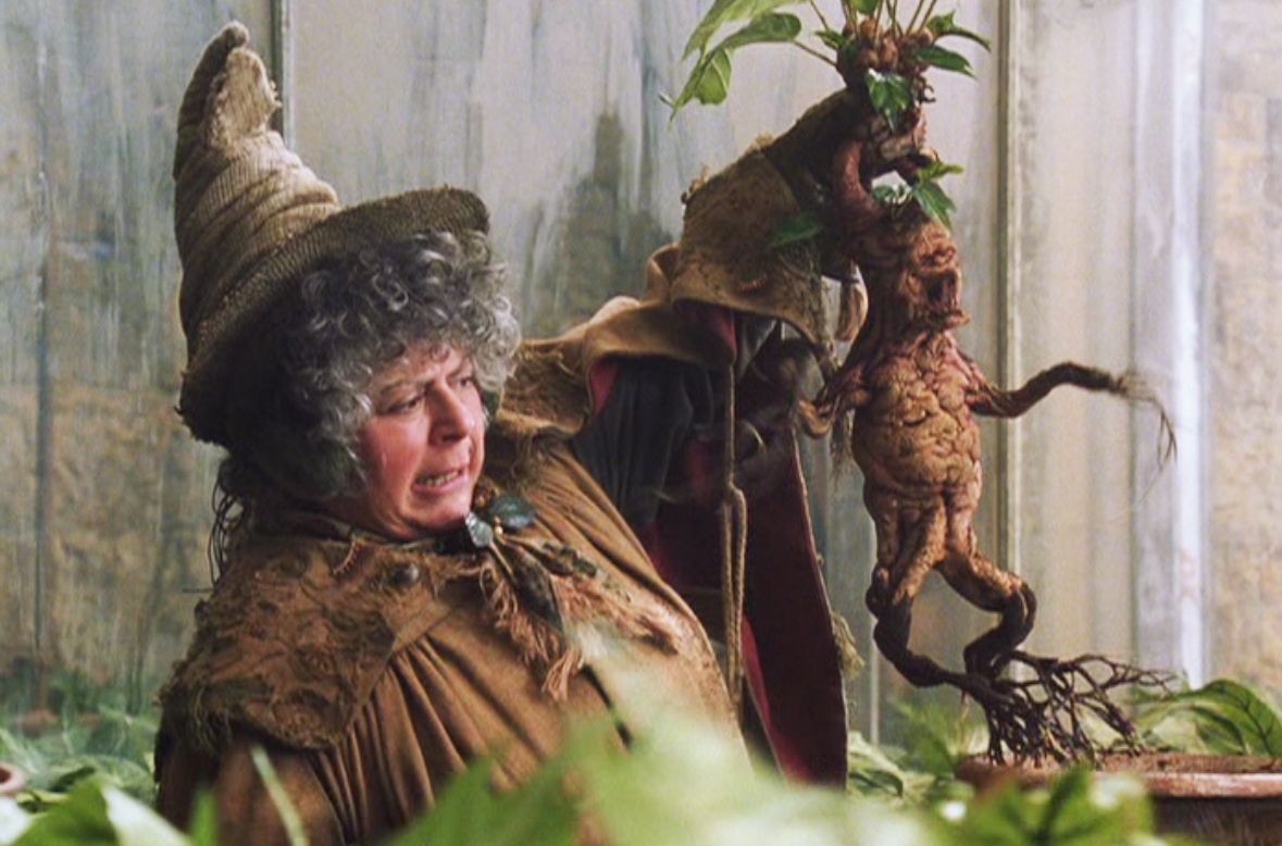 Did Arnold Schwarzenegger Fart In Professor Sprout's Face?