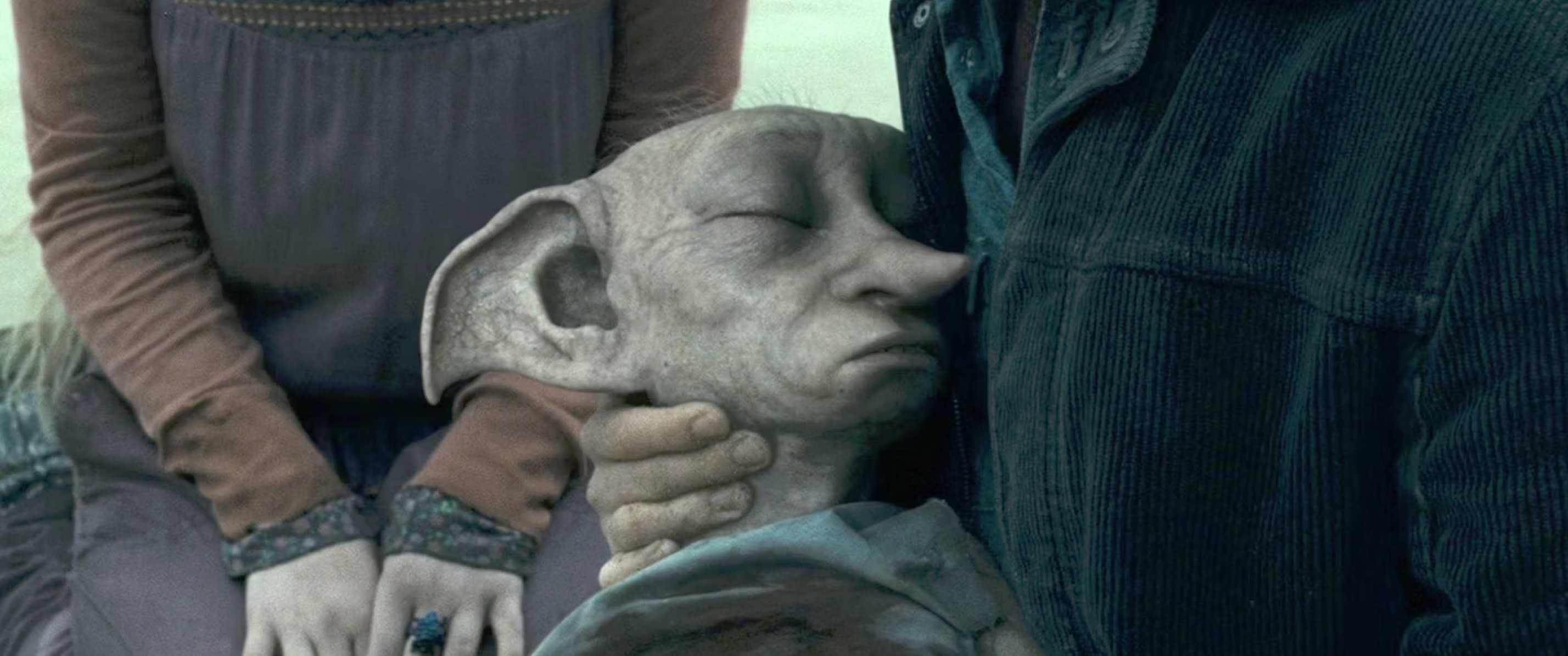 'Harry Potter' Fans Can Visit Dobby's Grave (But No Socks)