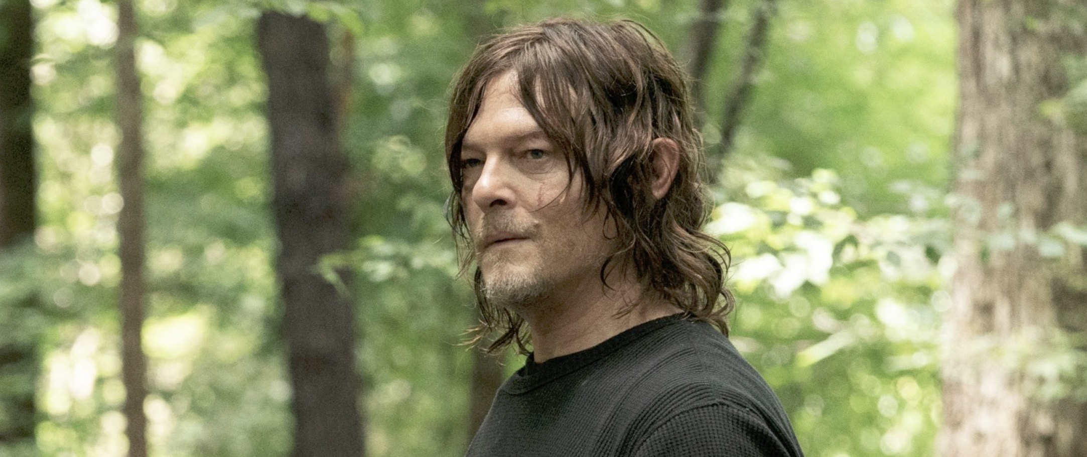 Why Daryl Was Created For Norman Reedus On The Walking Dead