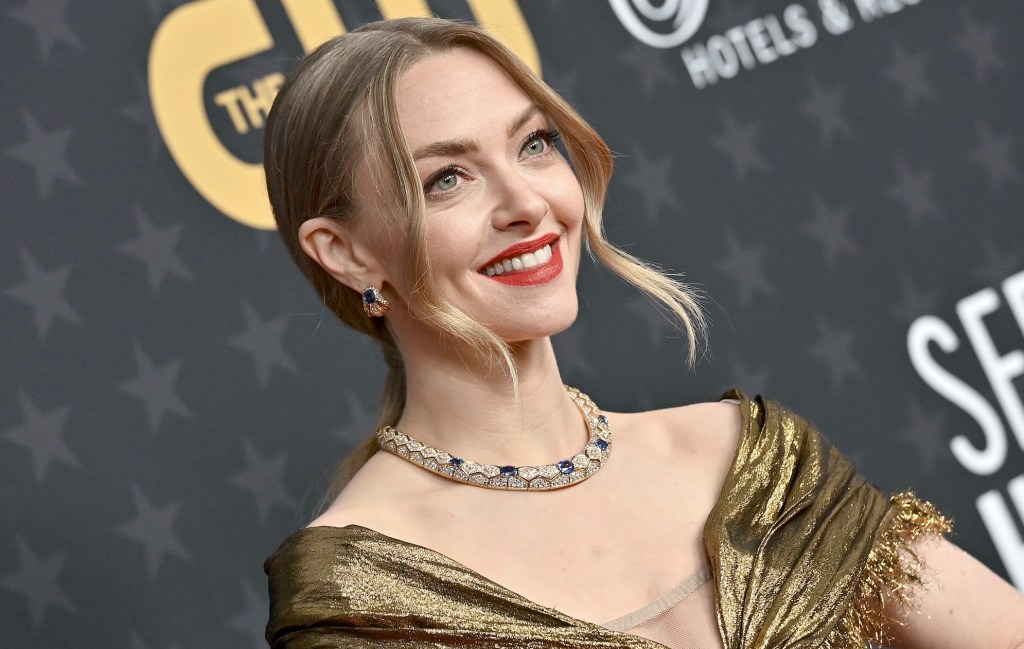 Amanda Seyfried Handled Wardrobe Malfunction Like A Pro