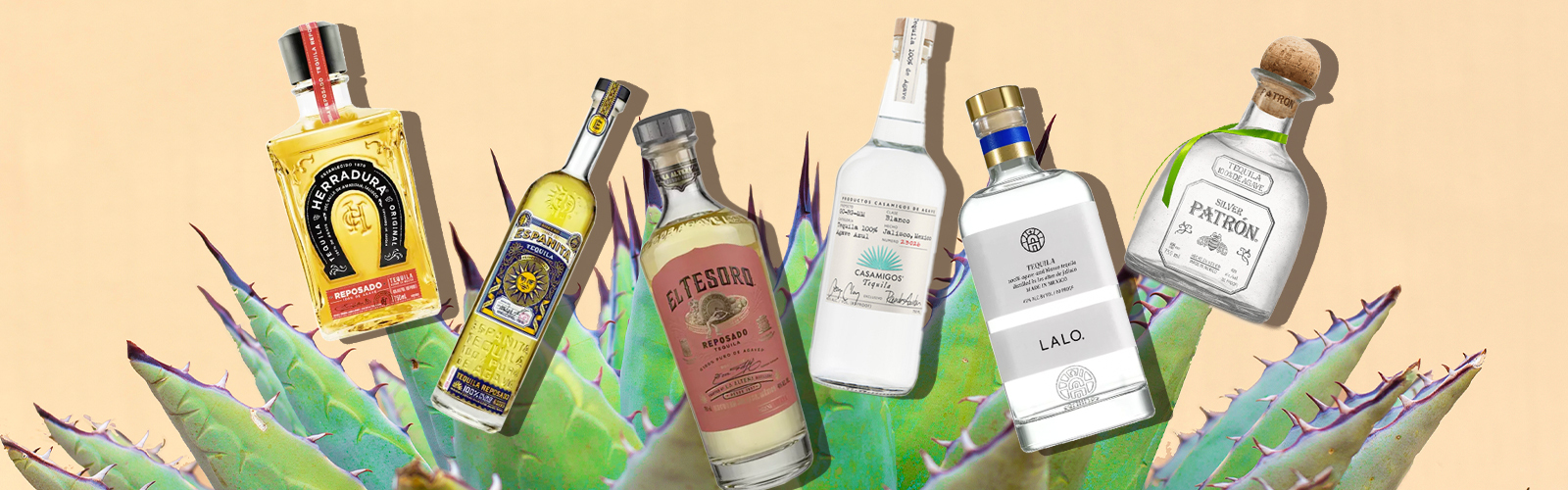 The 10 Absolute Best Tequilas Under $50, Ranked
