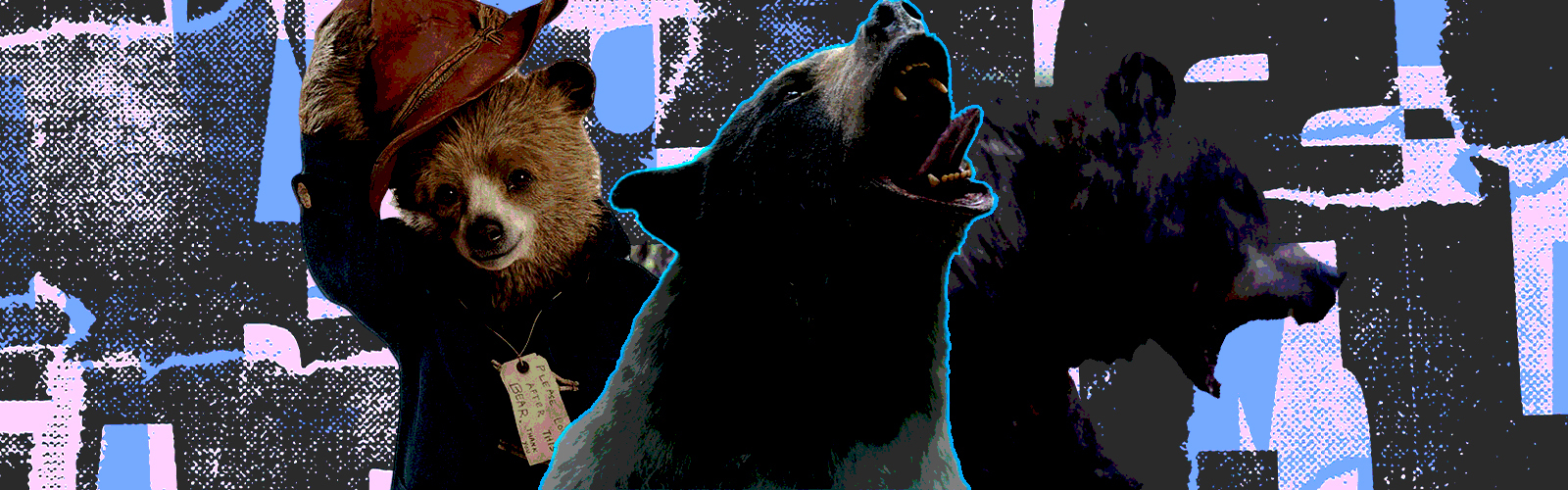 The 10 Best Bear Movies In Honor Of 'Cocaine Bear'