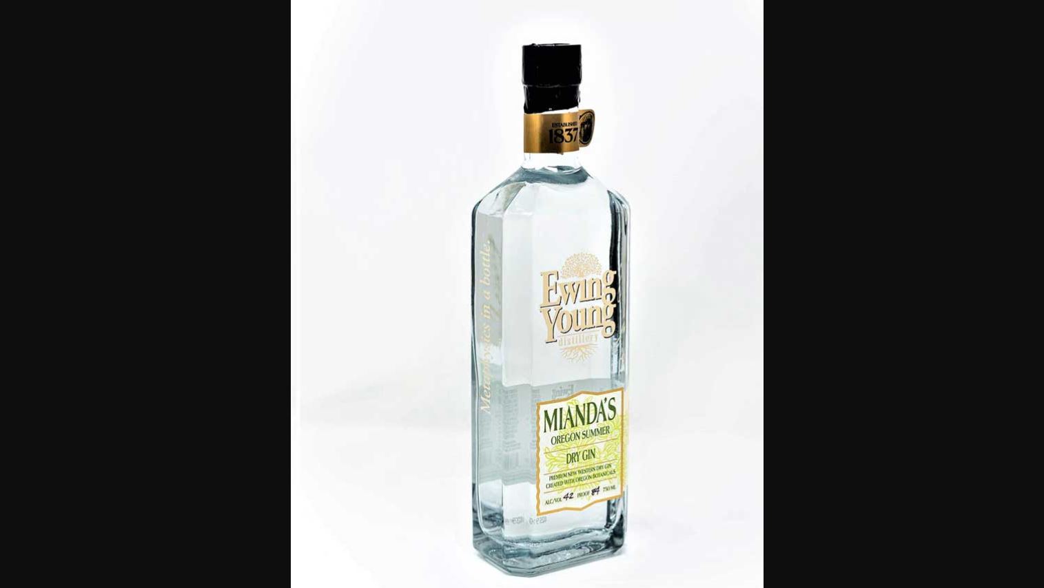 The Best Sip Of Gin Ever, As Told By 12 Bartenders