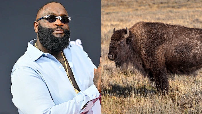 Rick Ross' Buffalo Prompt Police Statement