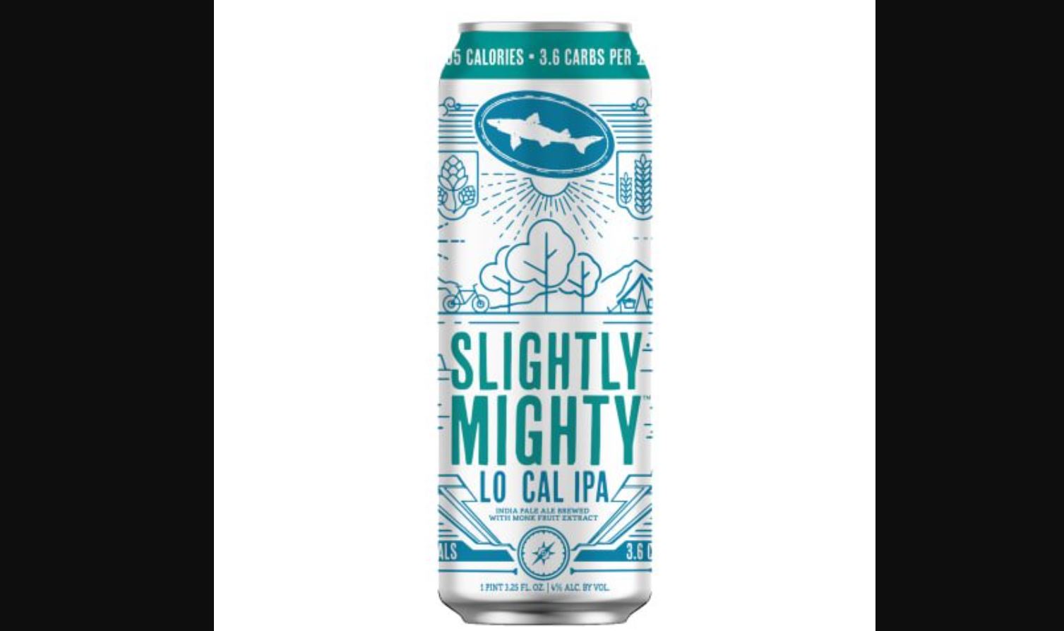 10 Most Refreshing Light Beers For Spring, By Bartenders