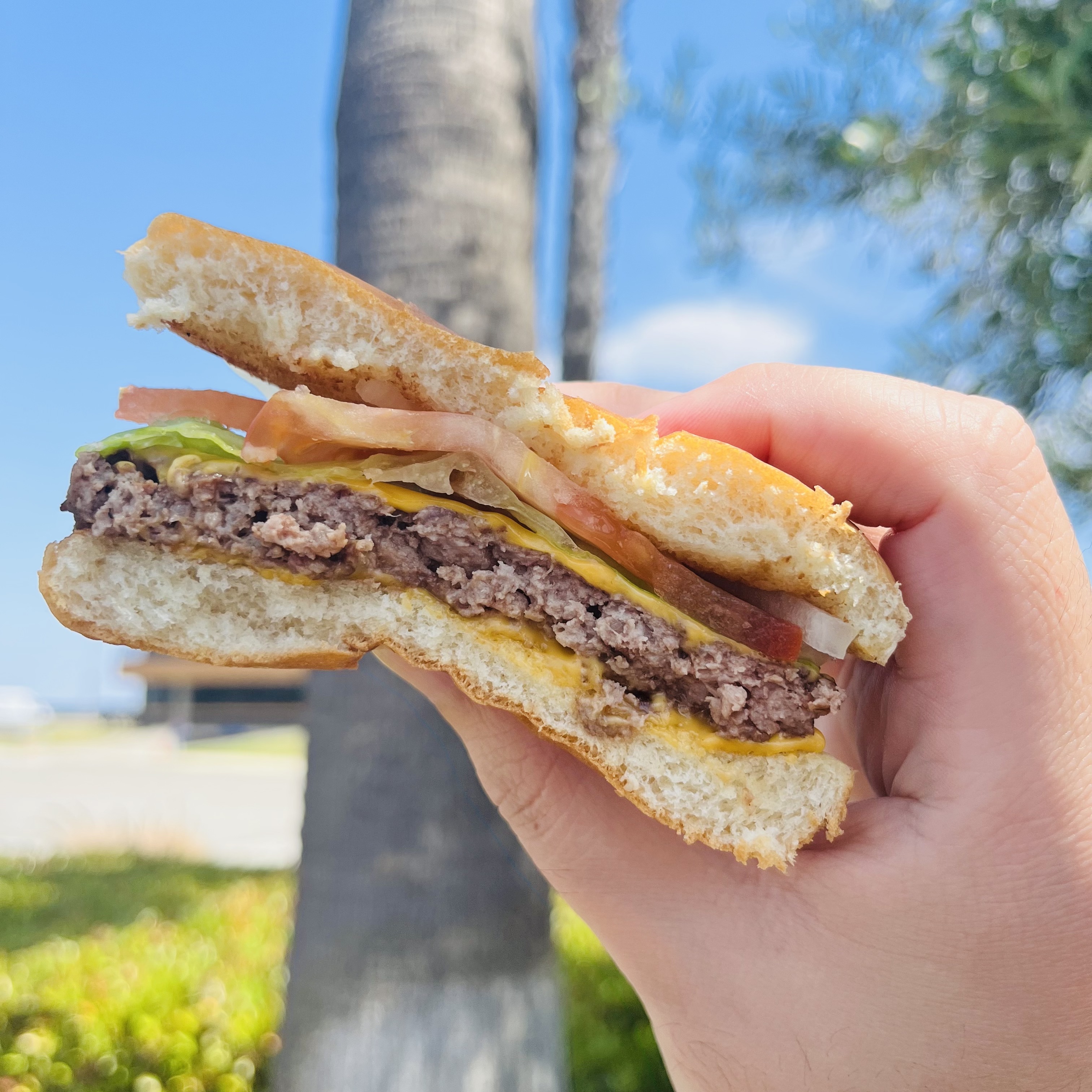 Best Fast Food Single Cheeseburgers, Ranked For 2023