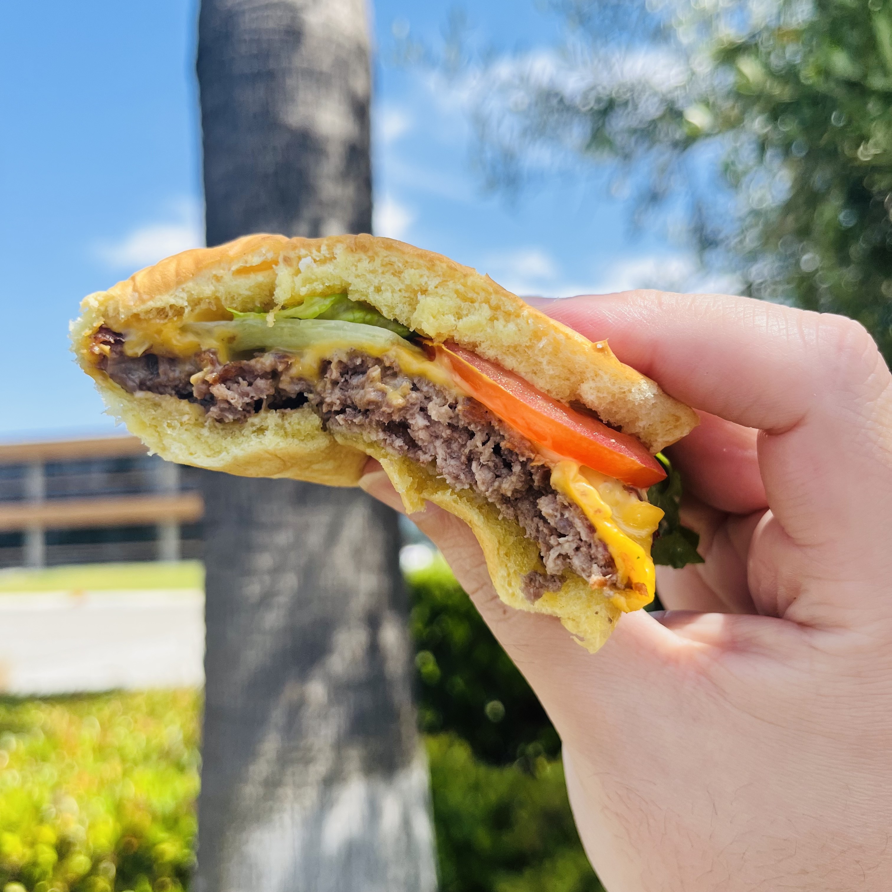 Best Fast Food Single Cheeseburgers, Ranked For 2023