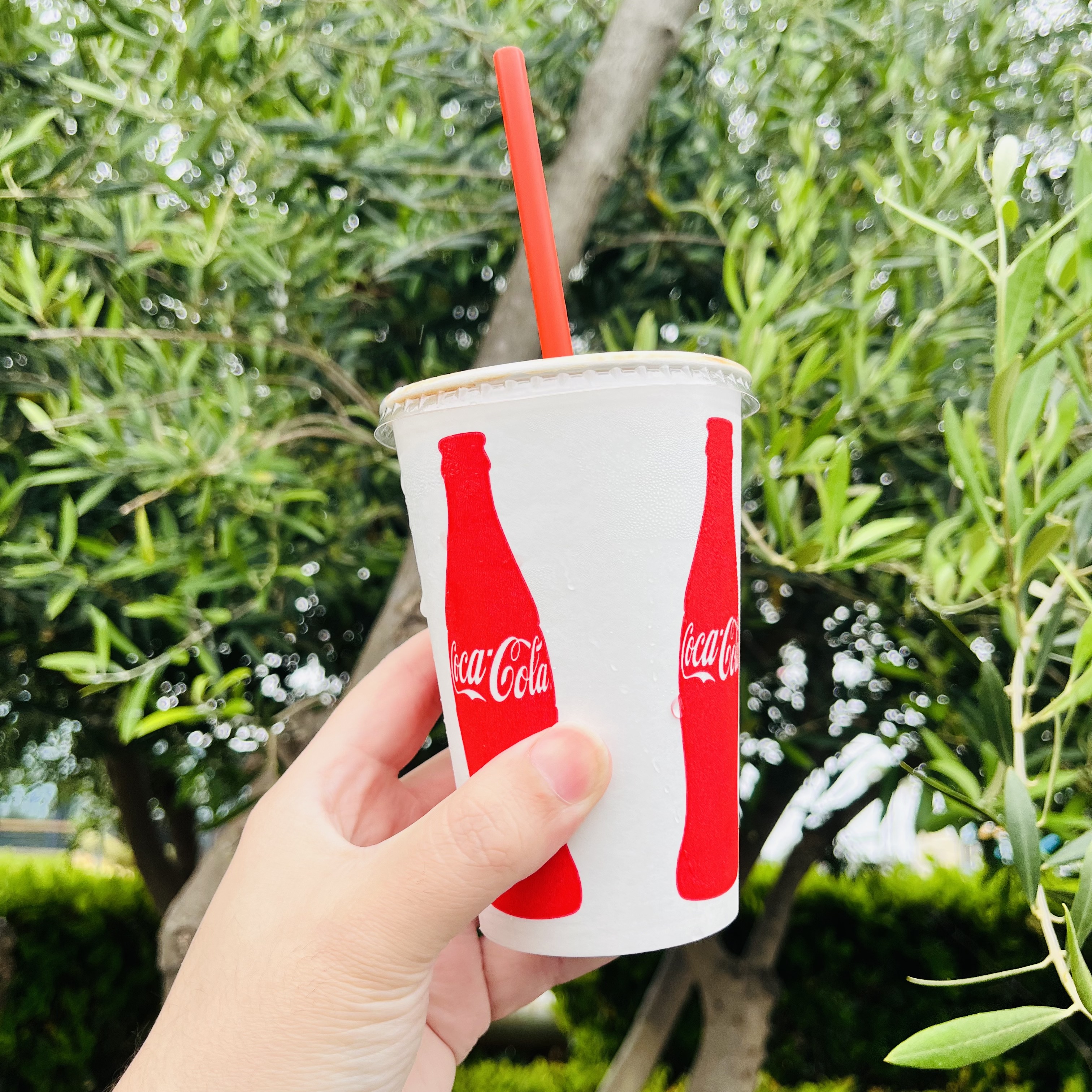 Best Fast Food Chocolate Milkshakes, Blind Tasted & Ranked