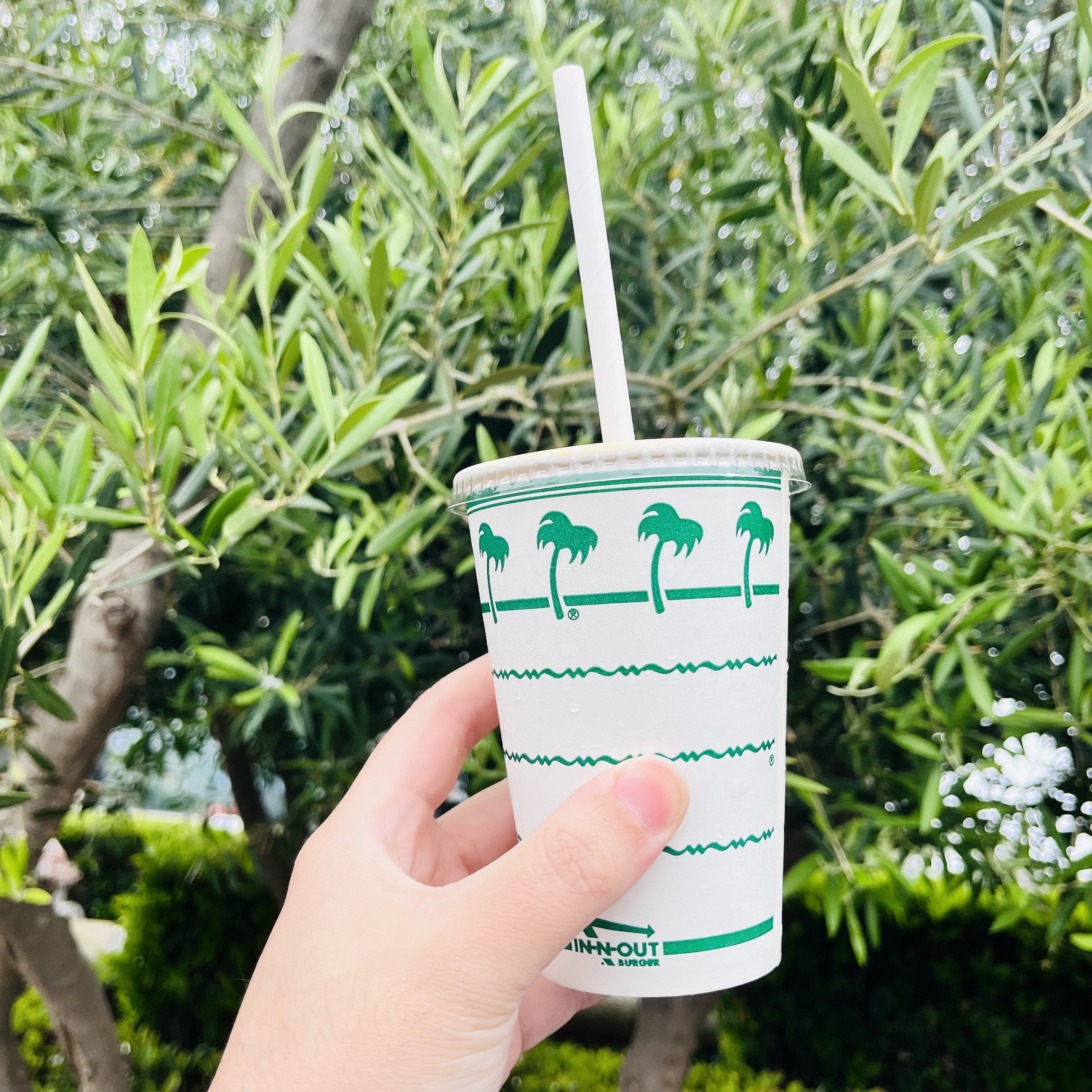 Best Fast Food Chocolate Milkshakes, Blind Tasted & Ranked