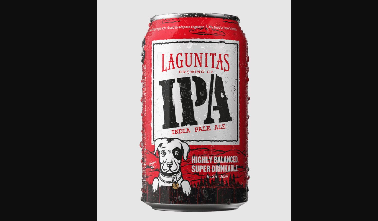 10 Best West Coast IPAs To Drink Right Now, Told By Experts