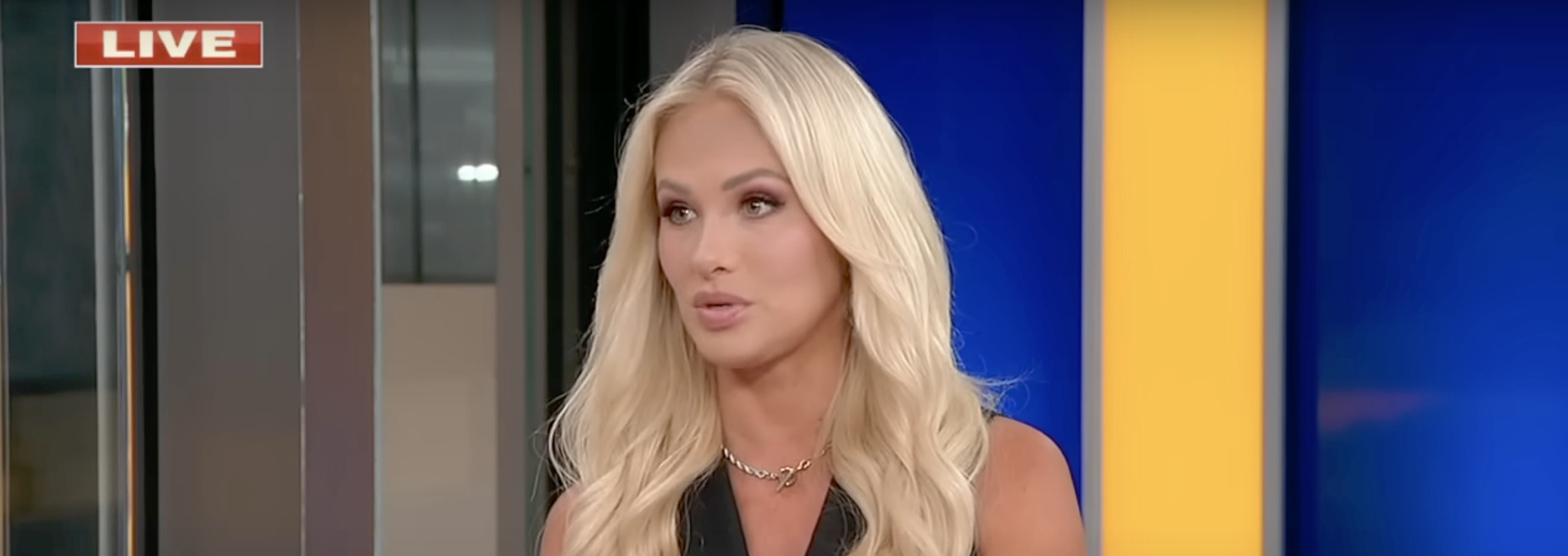 Tomi Lahren's Tweet About Straight Men Is Boggling Minds