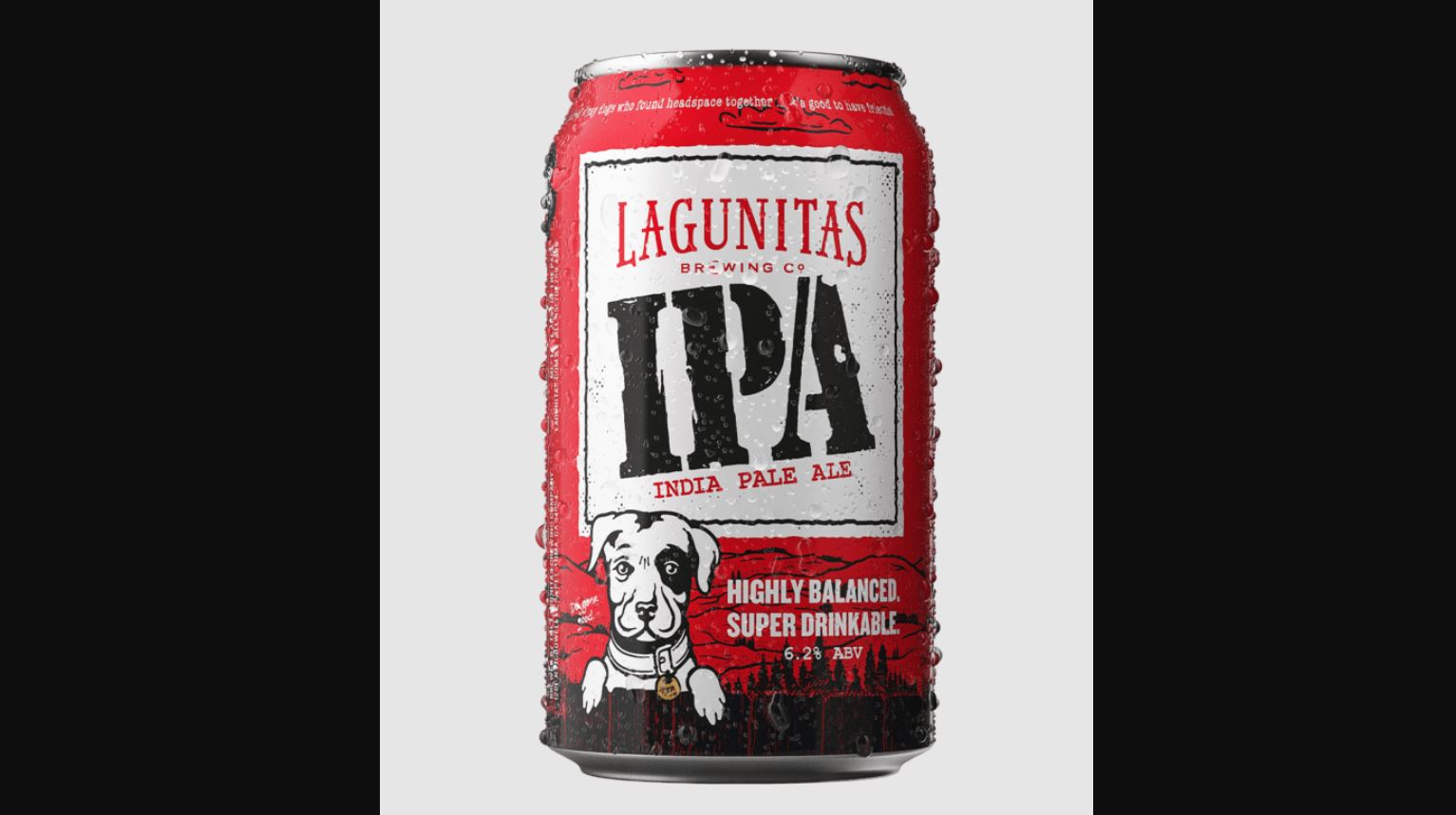 8 Best West Coast IPAs For Summer, Ranked