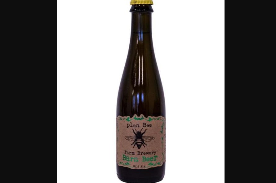 10 Best Sour Beers Right Now, According To Bartenders (2023)