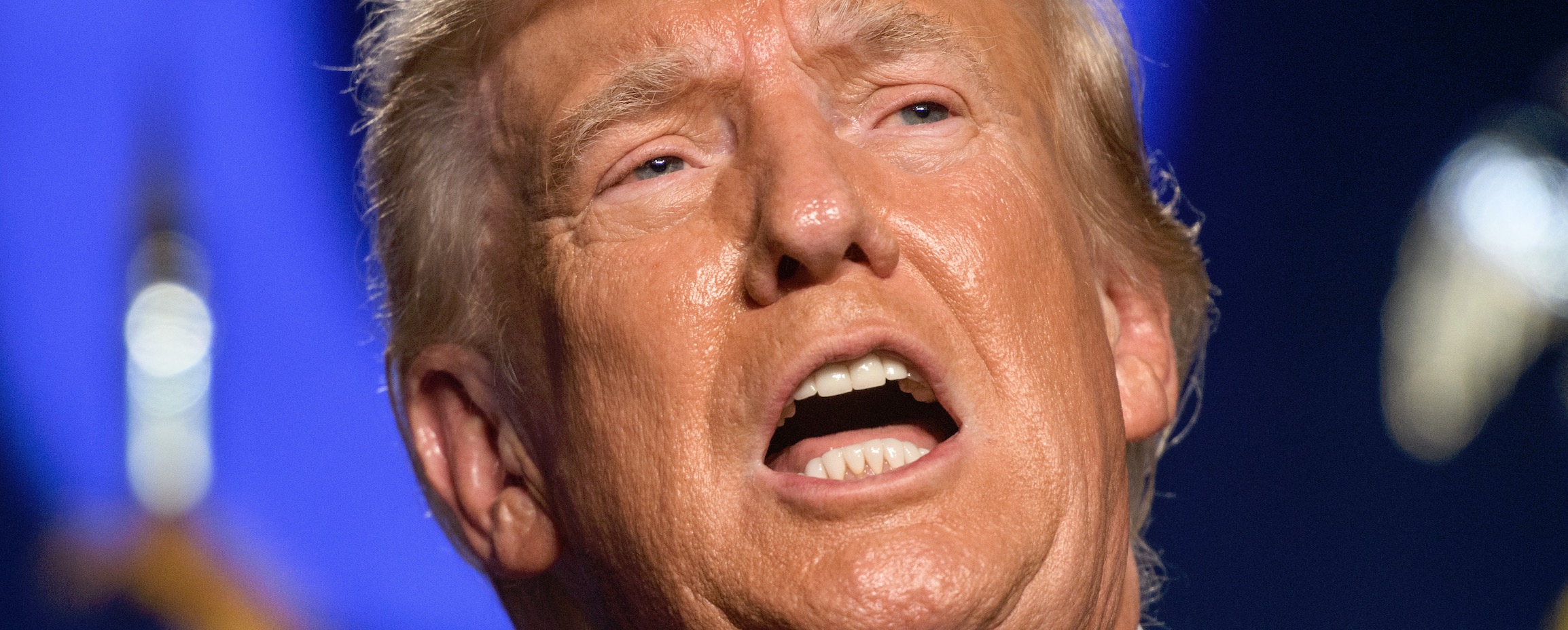 Trump Is A Textbook 'Psychopath,' Says Harvard Professor