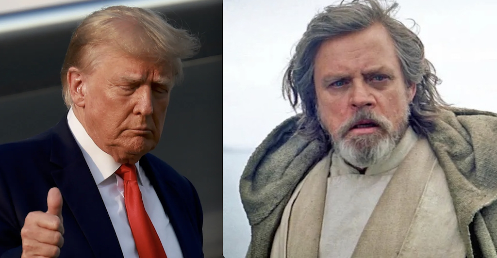 Mark Hamill Agrees With Trump Saying He's Willing To Do Time