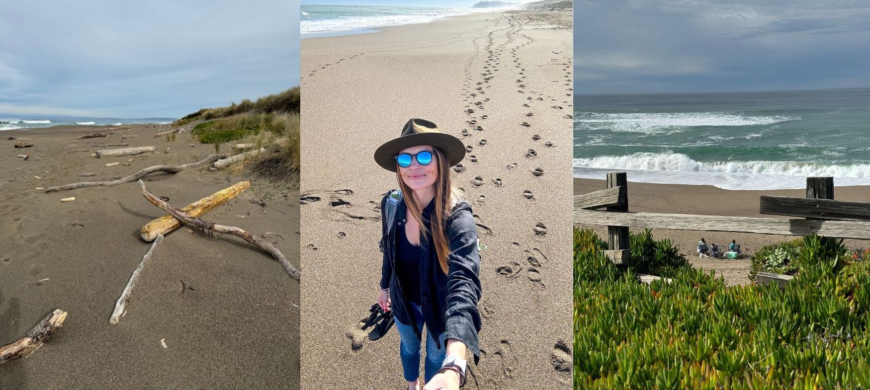 What To Do In And Around Point Reyes National Seashore (CA)