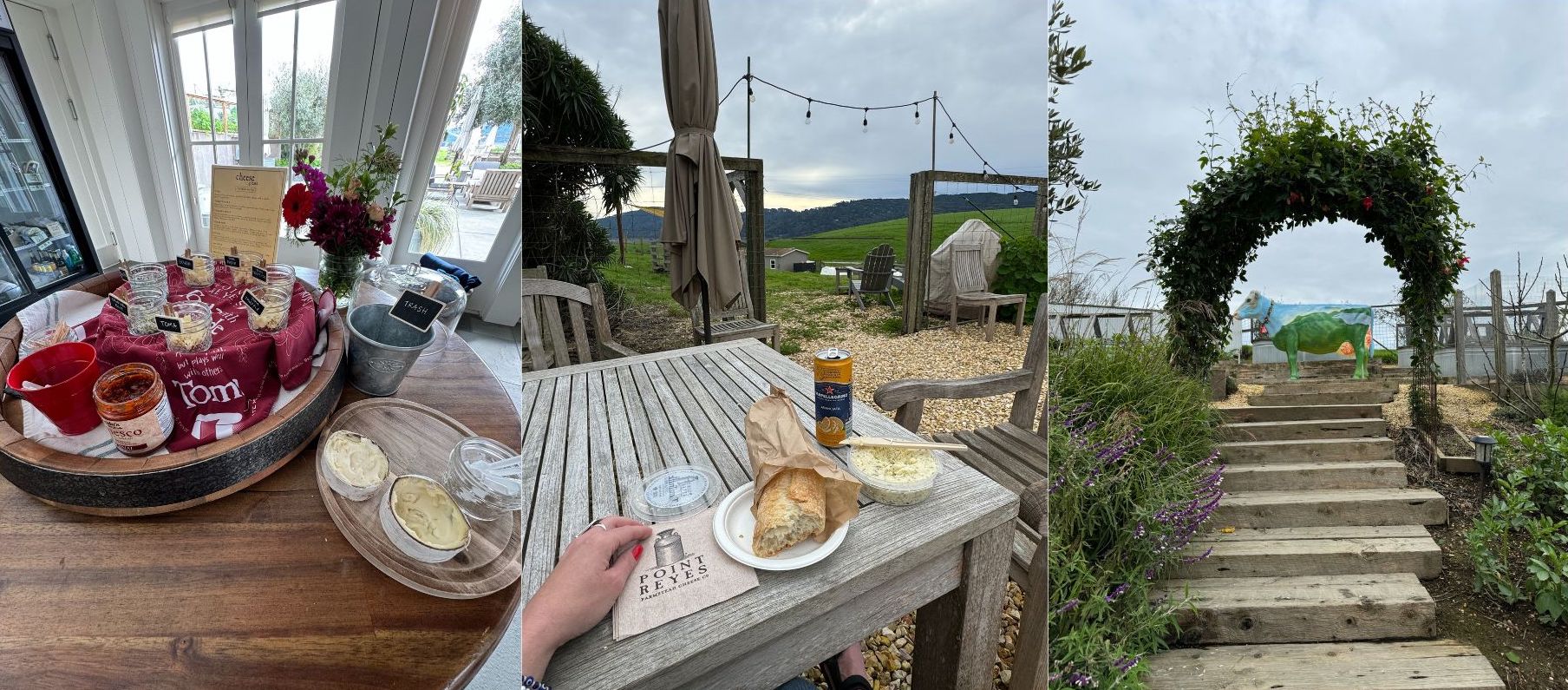 What To Do In And Around Point Reyes National Seashore (CA)