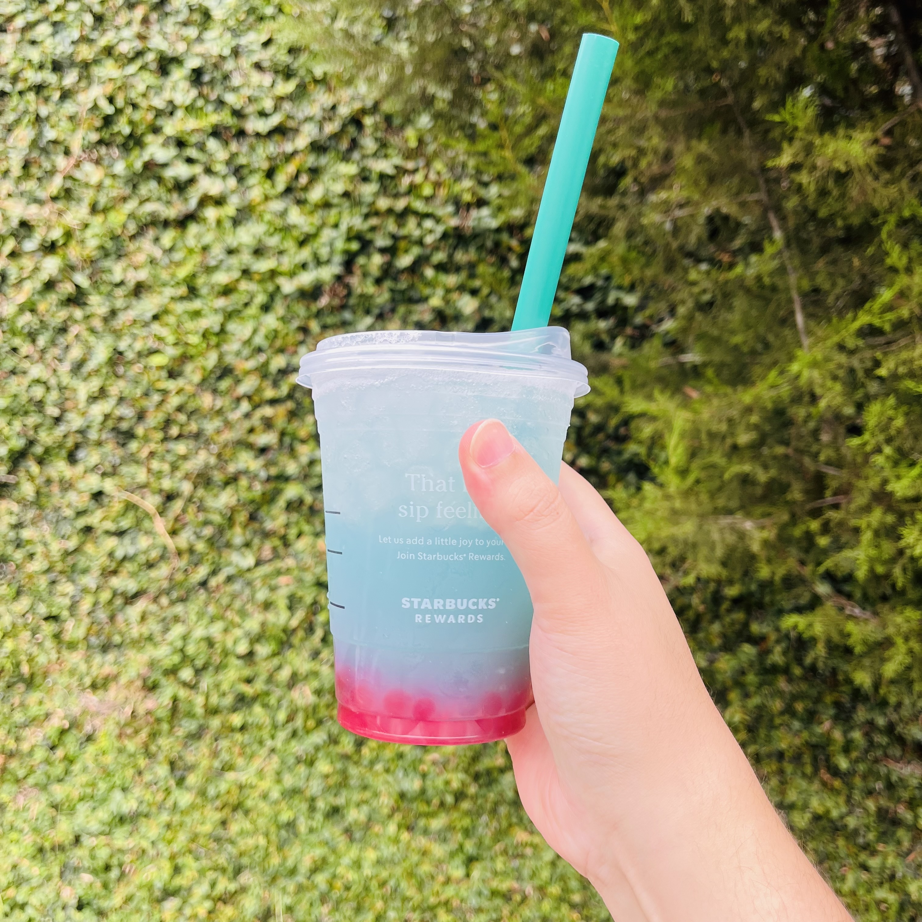 Starbucks Summer Berry Refreshers Drinks Menu, Reviewed