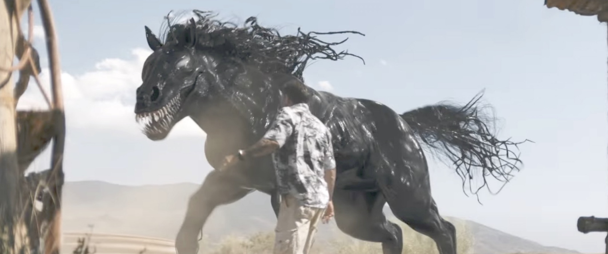 'Venom: The Last Dance’ Breakout Character Is Venom Horse